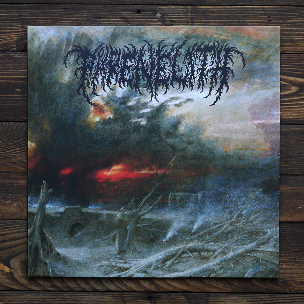 PHRENELITH - DESOLATE ENDSCAPE LP – DSCPLDN
